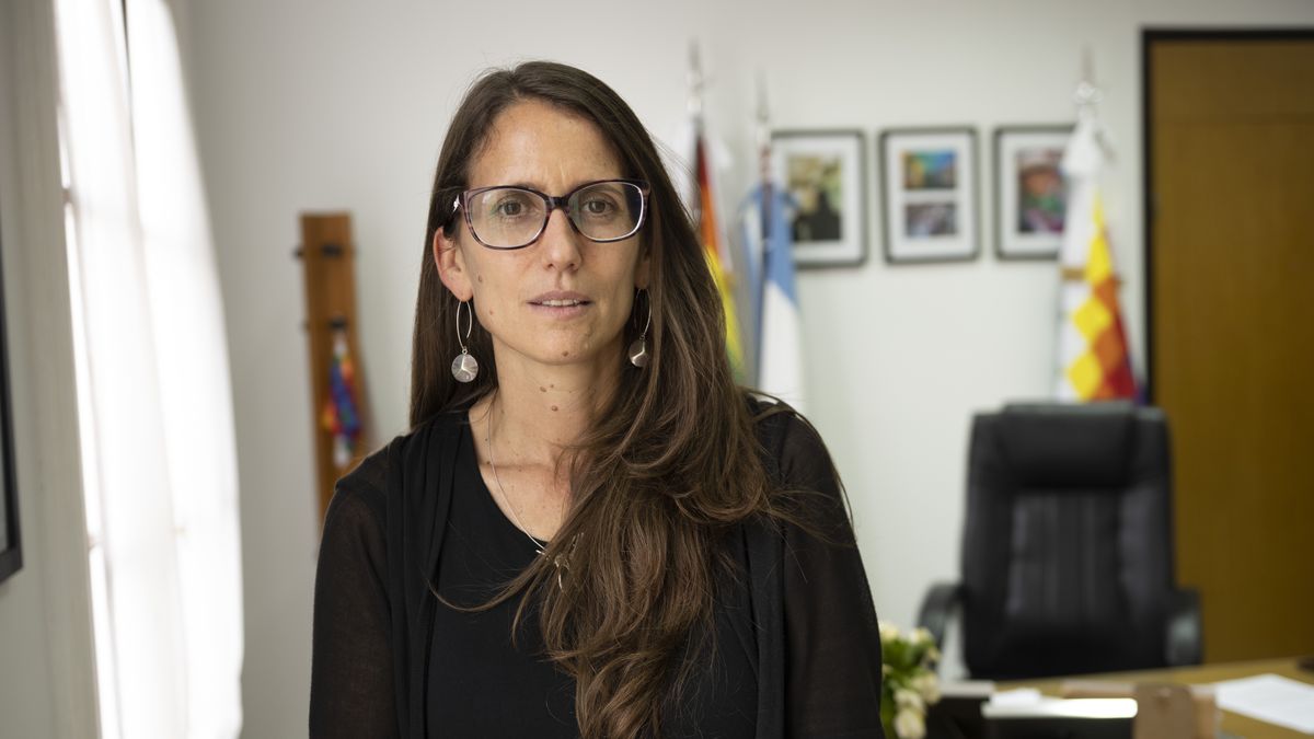 Aceptaron la renuncia de la ministra Elizabeth Gómez Alcorta