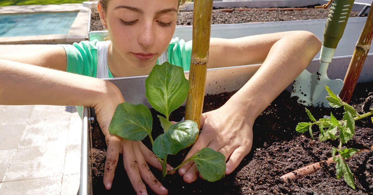 Te damos 11 consejos para empezar a cultivar tus propios alimentos