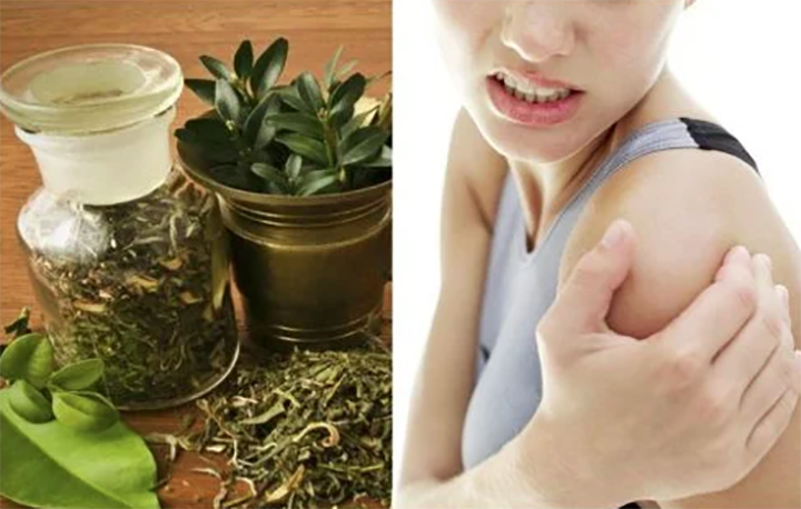 Ponele fin a tus dolores con estas ocho hierbas y plantas medicinales