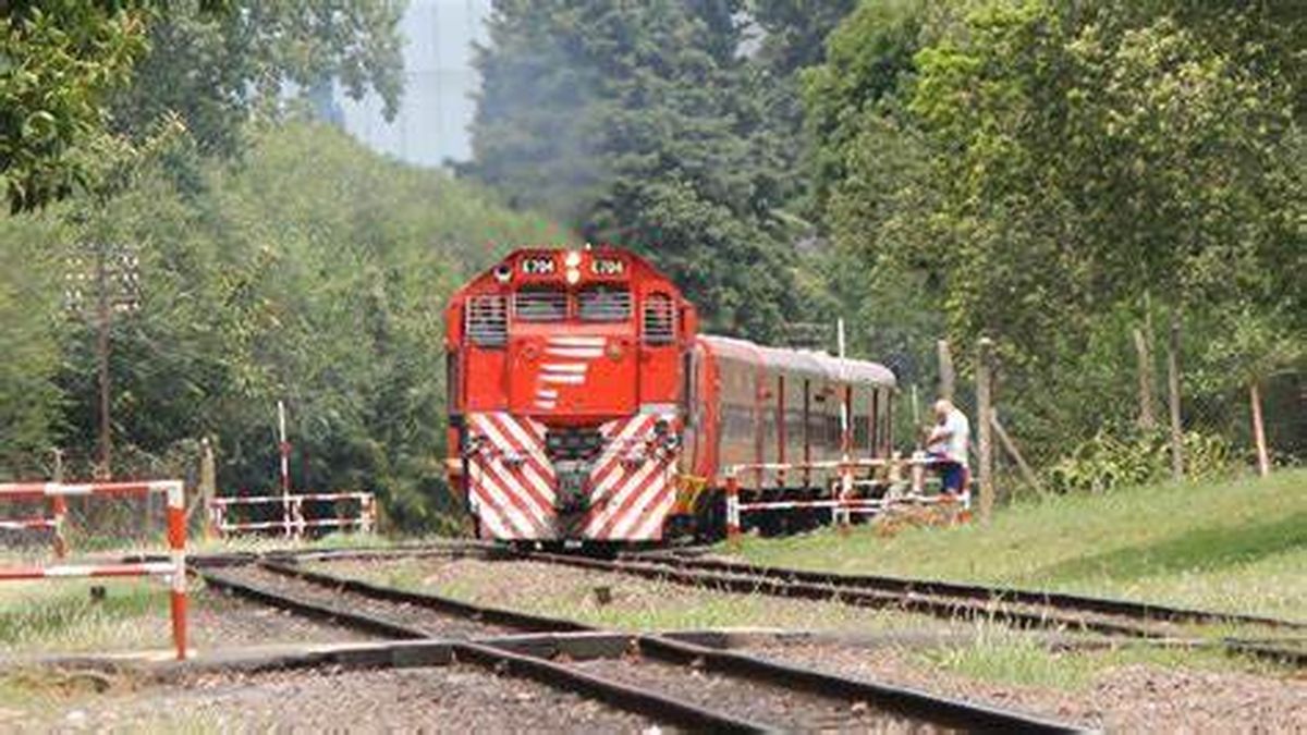 Secuestraron A Un Adolescente Y Lo Encontraron Con Un Disparo En La Cabeza