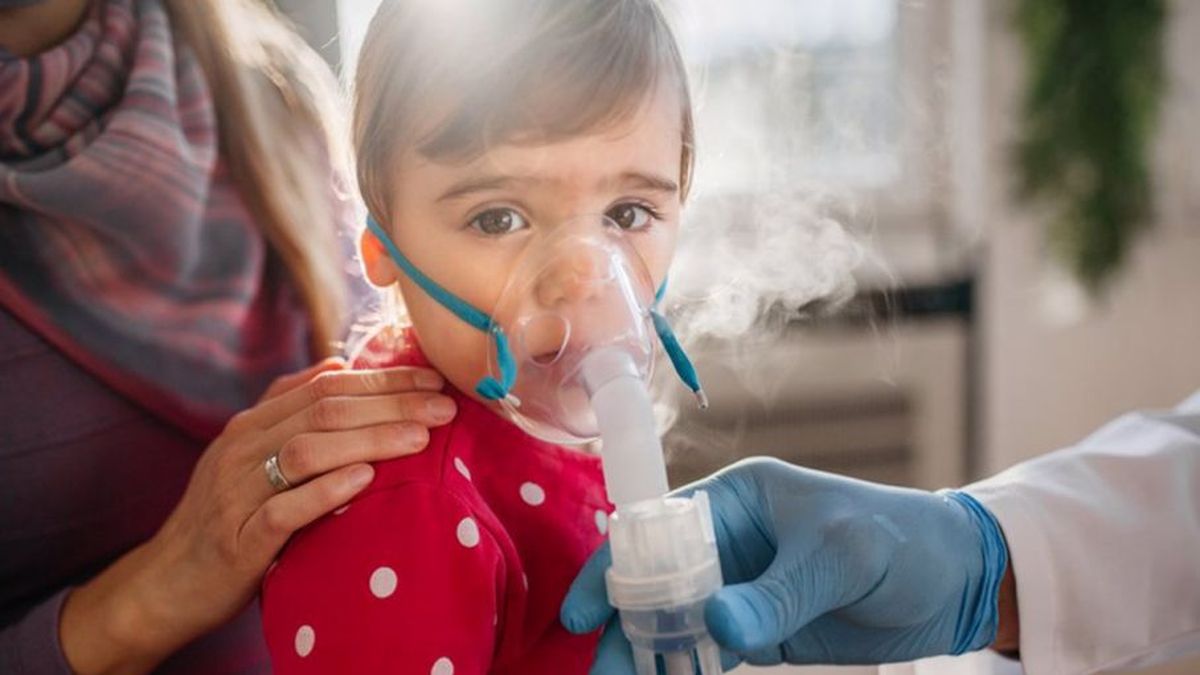 Detectan Un Bocavirus Que Provoca Enfermedades Respiratorias En Niños