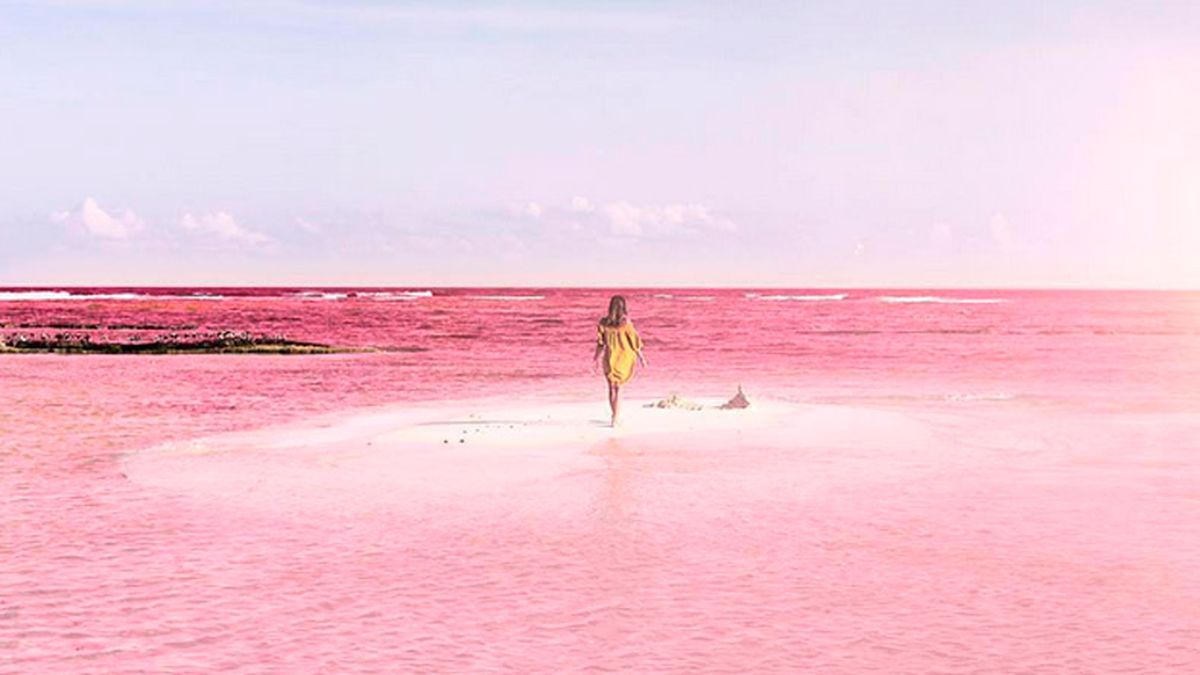 Te presentamos la mágica laguna rosa que sorprende y fascina al mundo