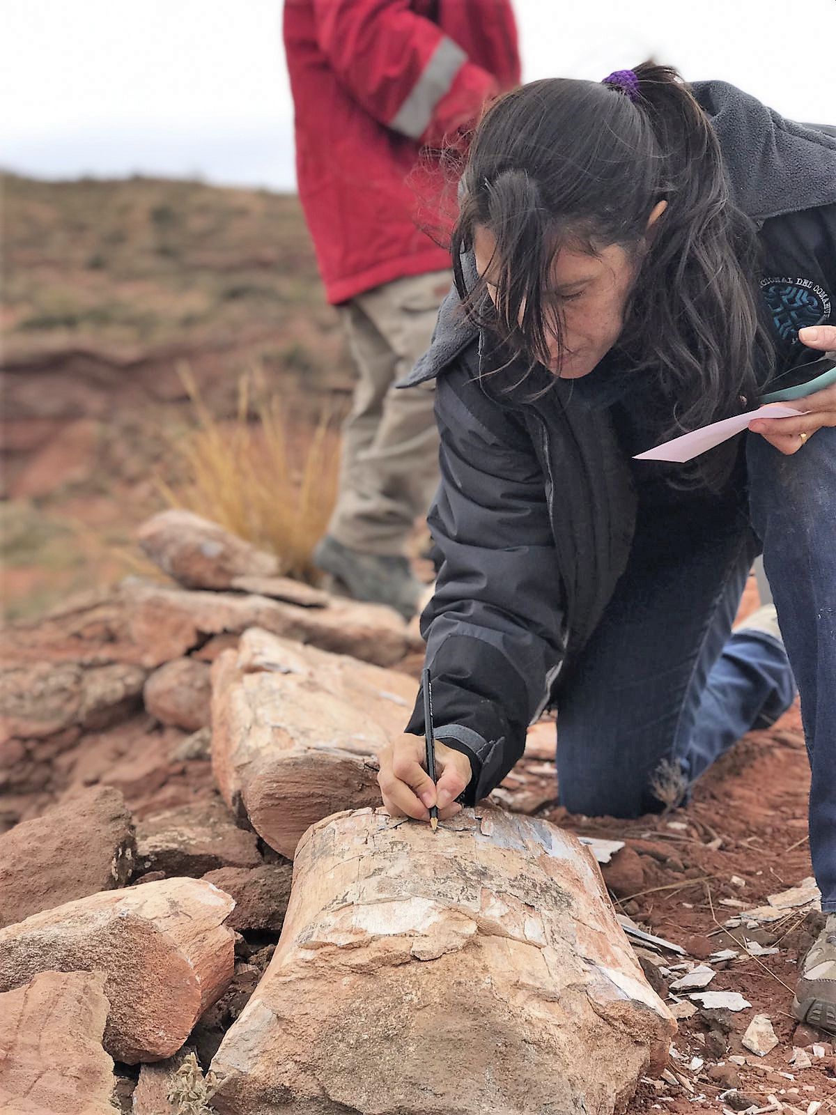 Hallaron el fémur de un titanosaurio en Neuquén