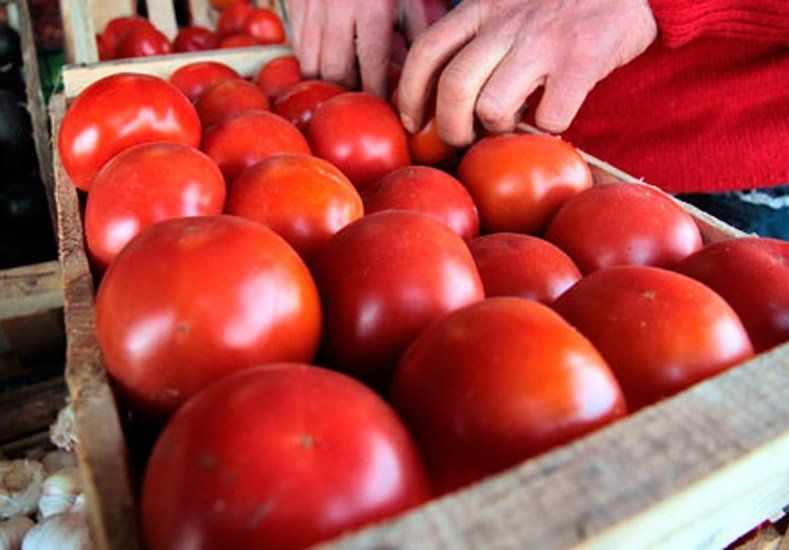 En Buenos Aires el kilo de tomate llegó a $60 pero en San Juan se ...