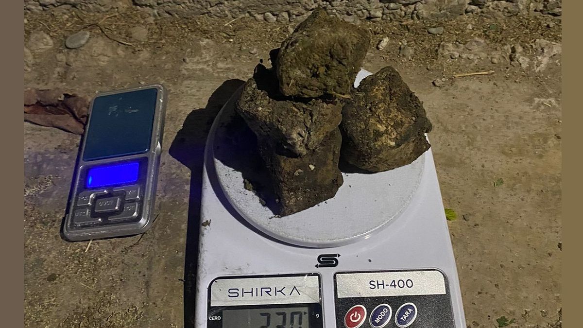 Cayó Un Joven Que Andaba Por La Calle Con Medio Kilo De Marihuana