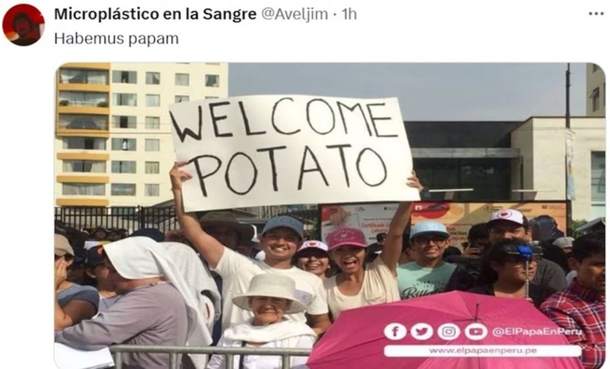 Los mejores memes de León XIV, el nuevo Papa