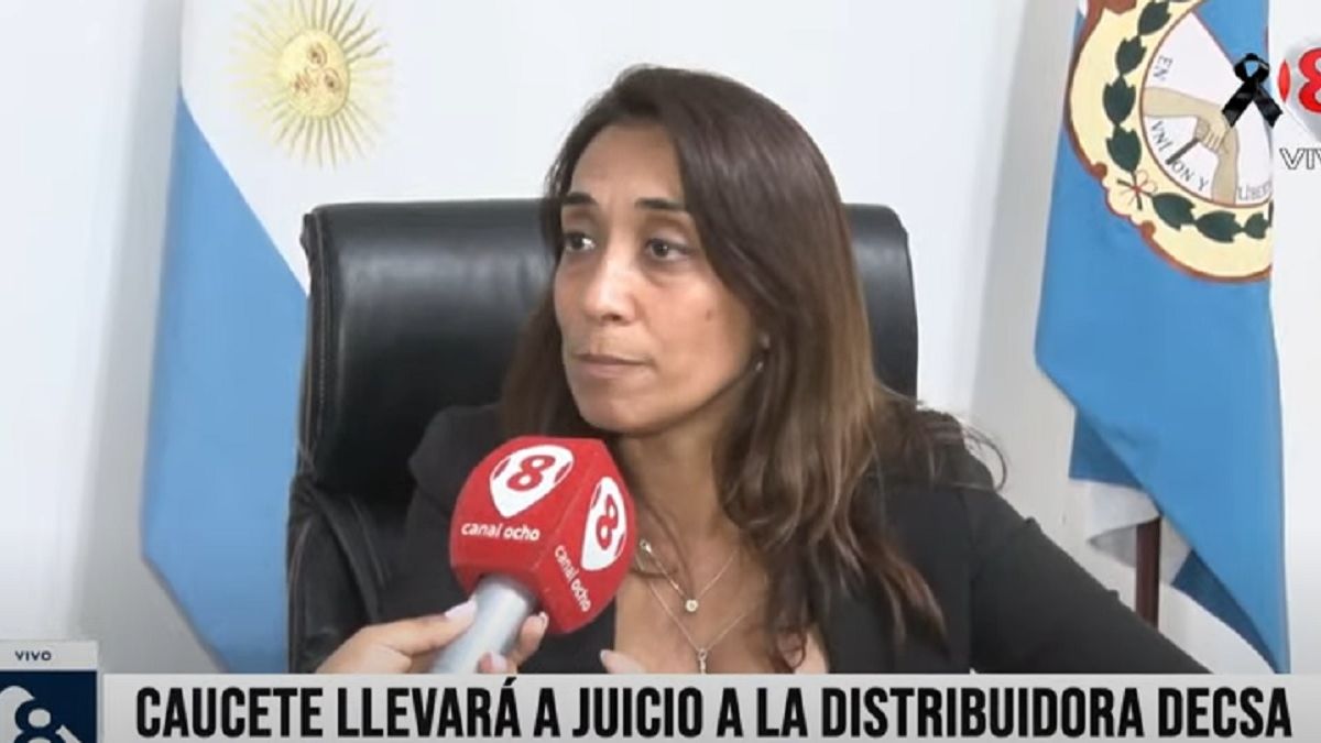 Romina Rosas habló sobre la auditoría del EPRE y la deuda con D.E.C.S.A.