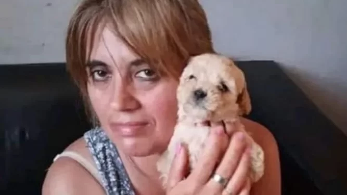 Murió La Mujer Que Cayó De Su Bicicleta Y Fue Atropellada Por Un Auto