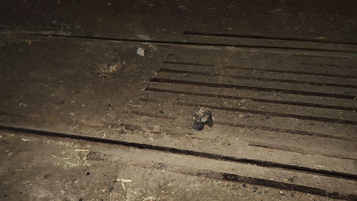 Un joven fue atropellado por un tren y deberá ser operado
