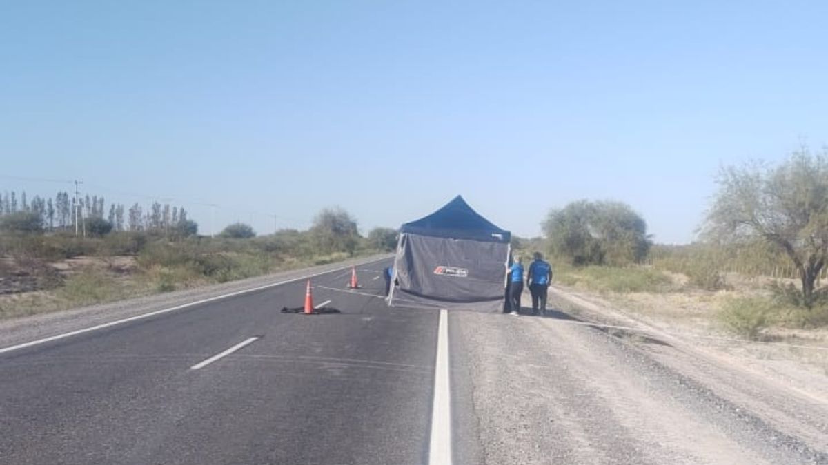 Intentó Esquivar A Una Persona Pero Una Camioneta Atropelló Y Mató A