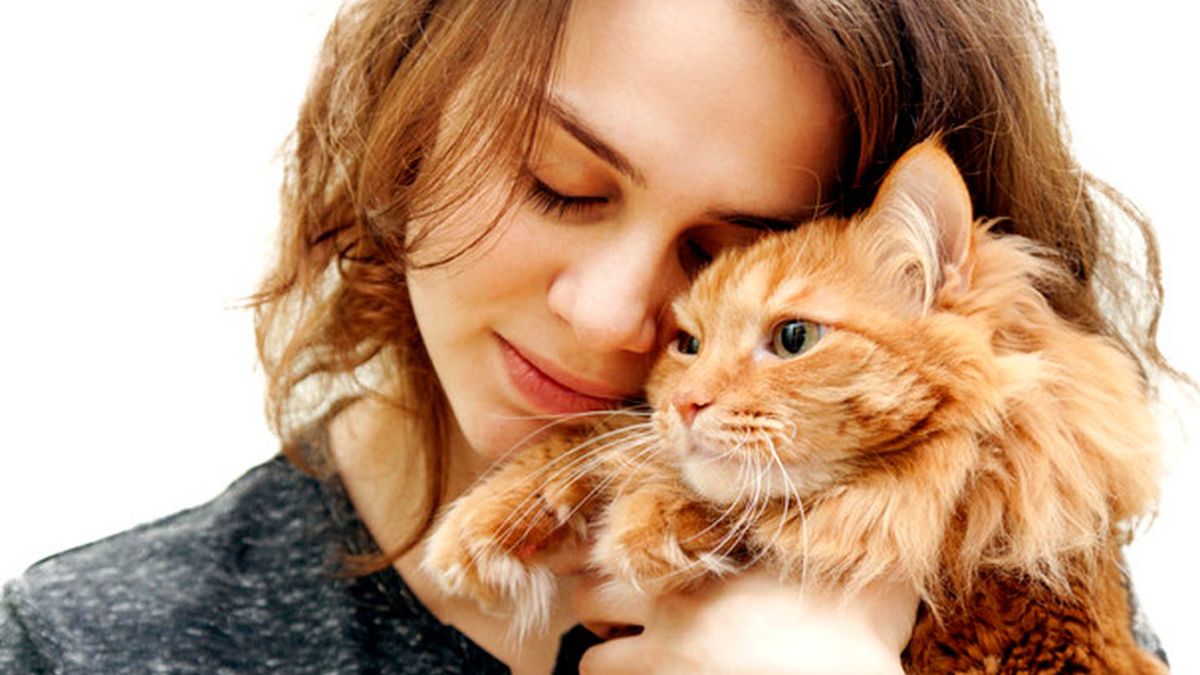 Las Más Propensas A Quedarse Solteras Son Las Personas Gato