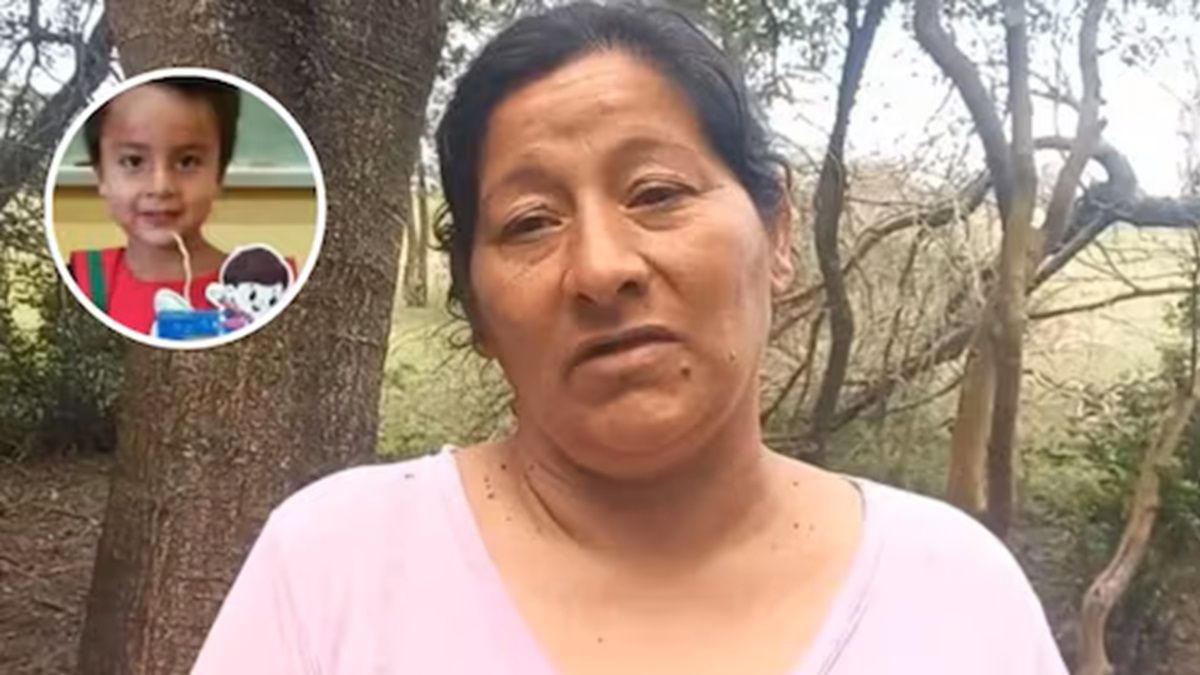 Caso Loan: la hija de Laudelina negó la versión del accidente