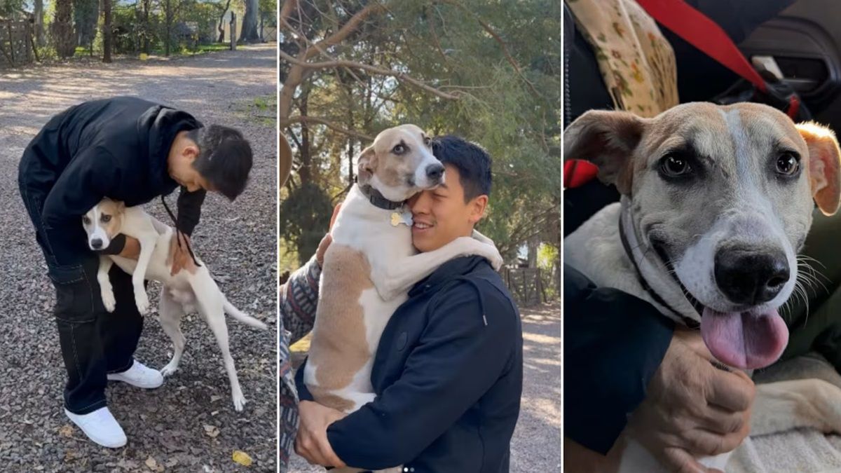 El emocionante reencuentro entre Martín Ku y el perro Arturo