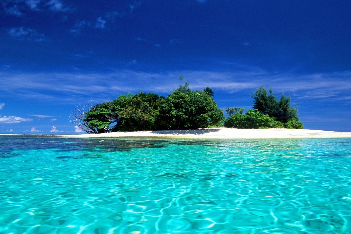 Sobrevivieron en una isla tomando agua de lluvia y comiendo cocos