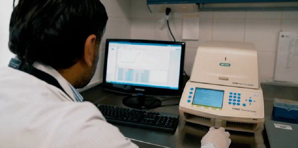 Por el momento hay stock de PCR y analizan comprar un reactivo para ...