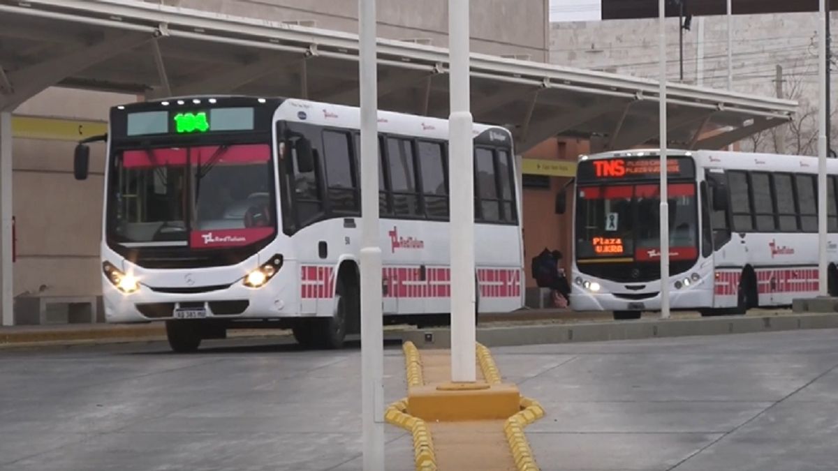 Cuánto cobrará un chofer de colectivo desde enero de 2023