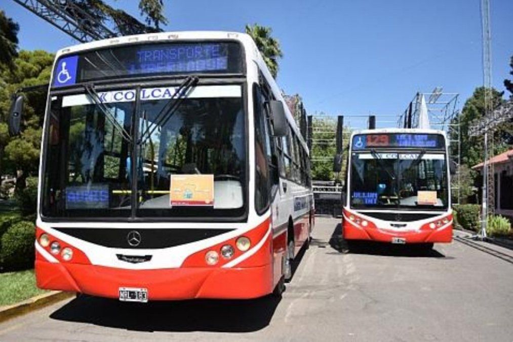 Conocé el recorrido, paradas y horarios de la línea 29 a Interlagos