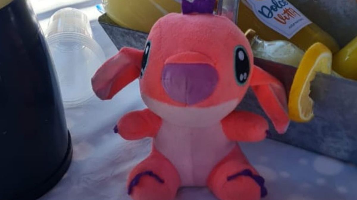 En la Feria Agroproductiva: fue a comprar un jugo y olvidó a su Stitch