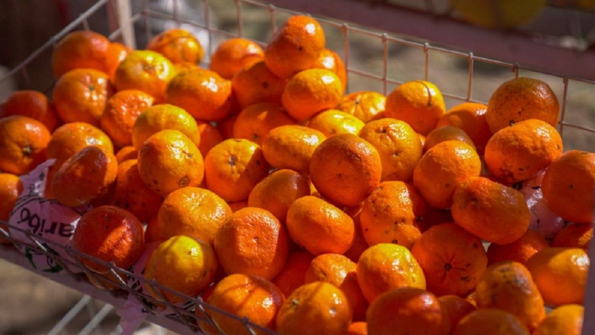 Estos son los precios máximos de referencia en frutas y verduras