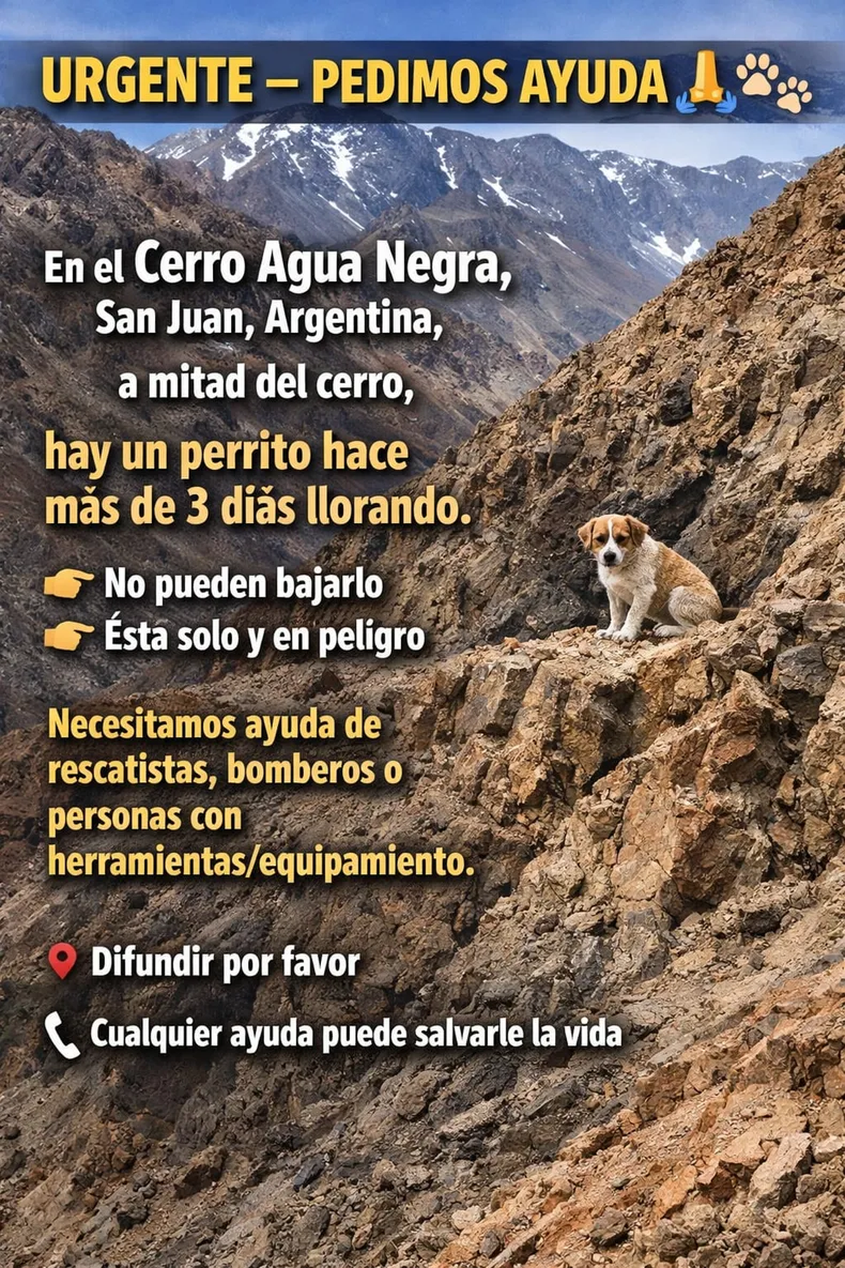 Operativo en Jáchal por un perro en un cerro: no lo hallaron y hay alivio