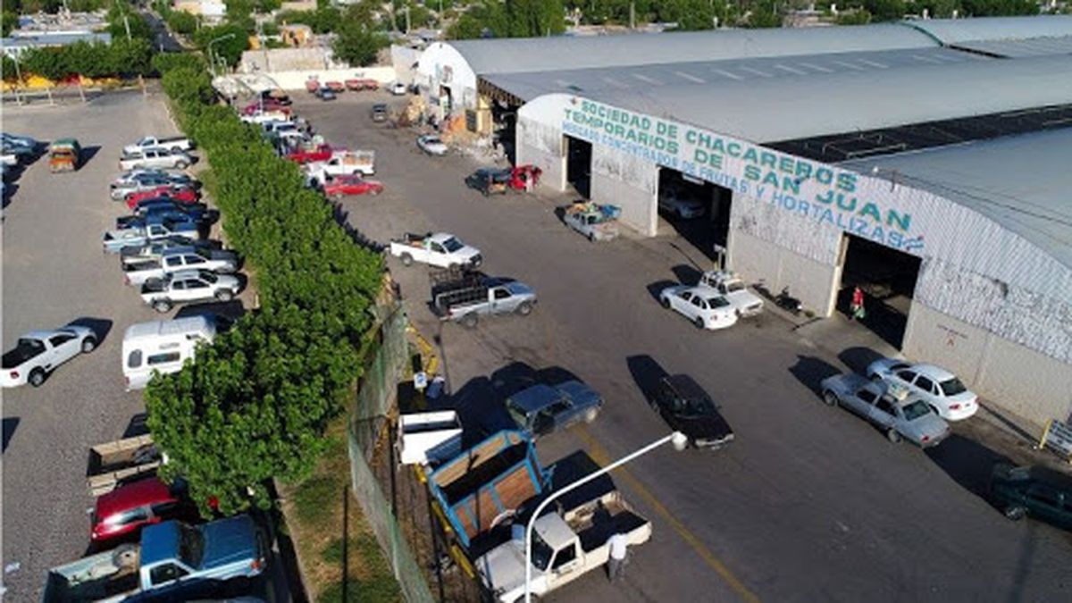 Un transportista jujeño ingresó sin autorización al mercado de Rawson y ...
