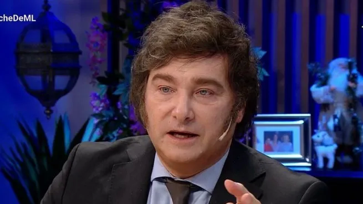 Milei defendió el DNU y aseguró que busca inversiones